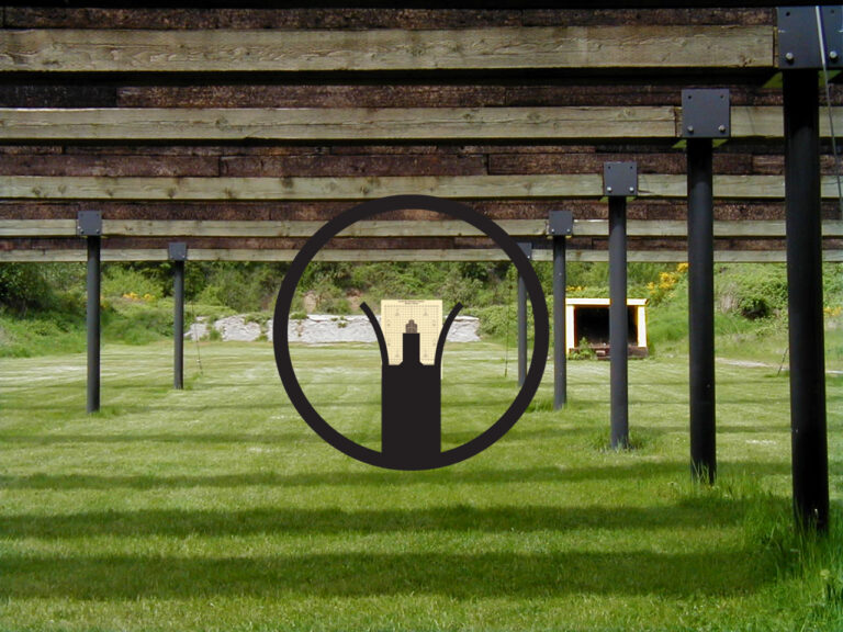 Iron Sights 25 Yard Sight In Targets