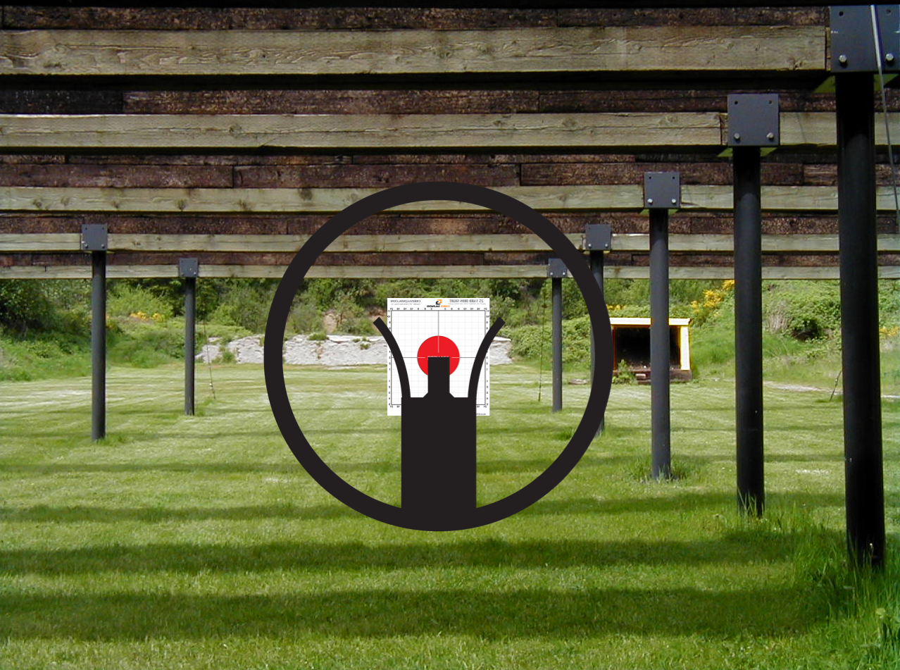 Iron Sights 25 Yard Sight In Targets
